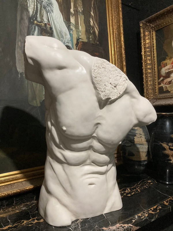 Life Size Male Torso – Sculptured Arts Studio